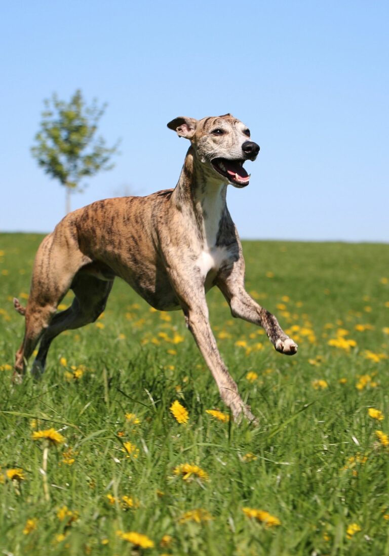 Using specific detail to bring your writing to life